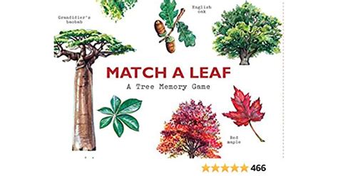 Match A Leaf A Tree Memory Game Memory Games Leaf Book Memories