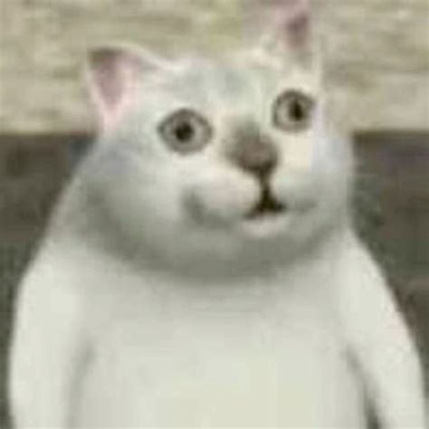 Murcat Artofit
