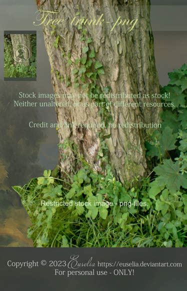 Crow Queen By Euselia On DeviantArt