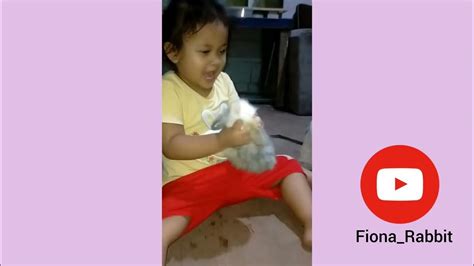 Kelinci Fuzzy lop !!! Unboxing Sepasang Kelinci Lucu Pertama Fiona yeayyy - YouTube