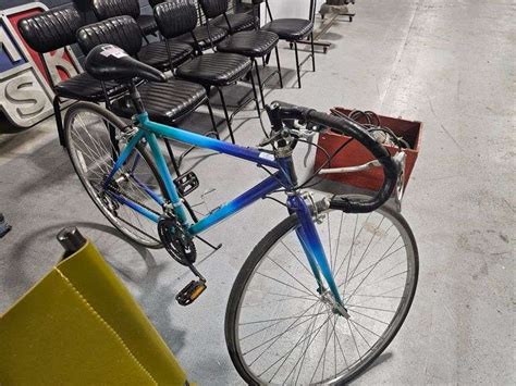 Dasani 12 Speed Bicycle Bidsells