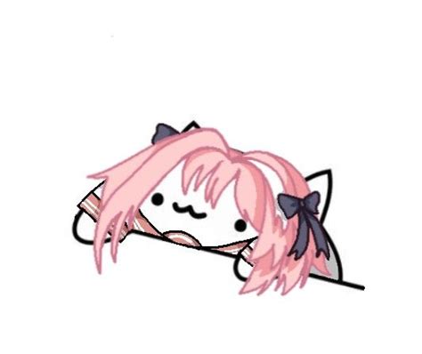 Bongo Cat Astolfo Anime Chibi Fate Apocrypha