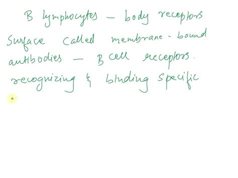 Solved The Fc Portion Of Igg Binds To Epitopes Of The Antigen Enabling The Fc Portion To Bind