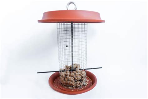 Diy Wire Mesh Bird Feeder