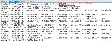 实操keepalived（高可用）nginx（四层代理七层代理），实现高可用、负载均衡以及动静分离keepalived Nginx Csdn博客