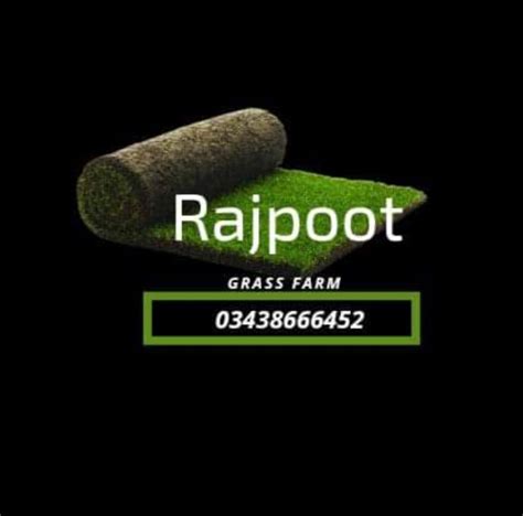 Allhamdulillah ️best Quality Lush Green Korean Carpet Grass Loading In