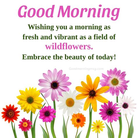 Best Good Morning Flower Quotes And Images