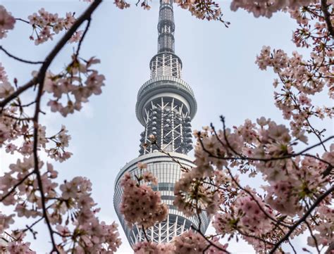 All You Need To Know About Tokyo Skytree Japan Wonder Travel Blog