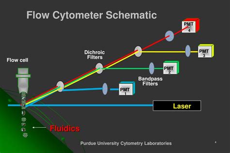 Ppt Flow Cytometry In The Clinical Laboratory Powerpoint Presentation