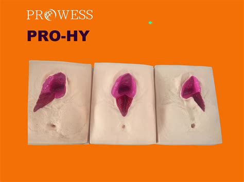 Pro Hy Episiotomy Suturing Pad Perineal Incision Suture Practice Model Vulva Suturing Training
