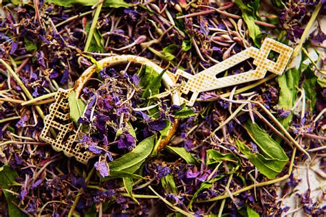 파이어에서 전통적인 러시아 녹색 허브 차 잎 Koporye 차 러시아 차 또는 이반 차이 건강관리와 의술에 대한 스톡 사진 및 기타 이미지 Istock