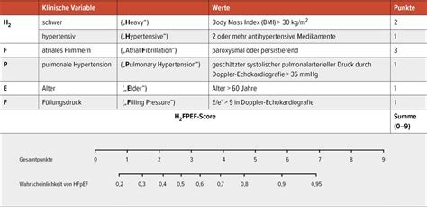 Hfpef Diagnostik In Der Praxis Kardiologie And Gefäßmedizin Universimed Medizin Im Fokus