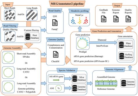 Schematic Representation Of The Workflow Starting From Raw Reads Download Scientific Diagram