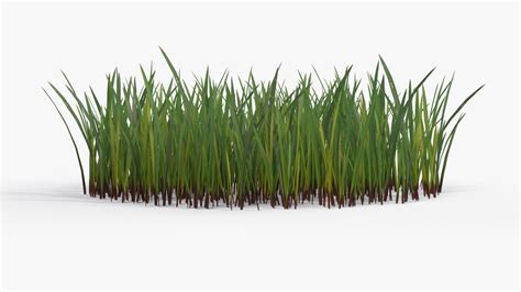 Grass Cluster 002 Pbr 3d Model 19 Max Fbx Obj Free3d