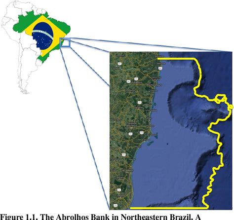 Table 21 From Macro Organisms Influence Coral Reef Microbial