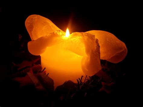 무료 이미지 식물 태양 햇빛 꽃잎 분위기 불꽃 어둠 노랑 양초 크리스마스 조명 열 명상 적 기분 매크로 사진 지질 학적 현상 2000x1500