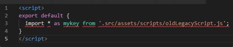 Vuejs2 How To Include Local Script Files In Vue Stack Overflow