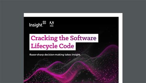 Cracking The Software Lifecycle Code Insight