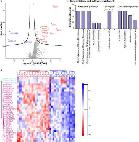 Itraq Proteomics In Csf Uncovers Differences In Als Patients A Volcano