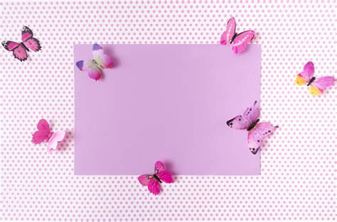 라일락과 마젠타 나비가있는 라일락 카드는 점선으로 된 분홍색과 흰색 배경에 둘러 쌉니다 카드 또는 초대장 또는 발표를위한 낭만적 인 봄 여름 개념 공간을 복사합니다 플랫