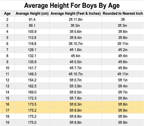 The Average 11th Grader Height and Weight (For Boys and Girls)