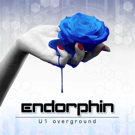 Ddr A3 Theme For Stepmania Stuck On Login R Dancedancerevolution