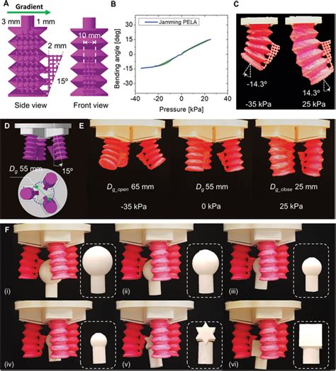 Design Of Three Fingered Gripper With External Lattice Structure A Download Scientific