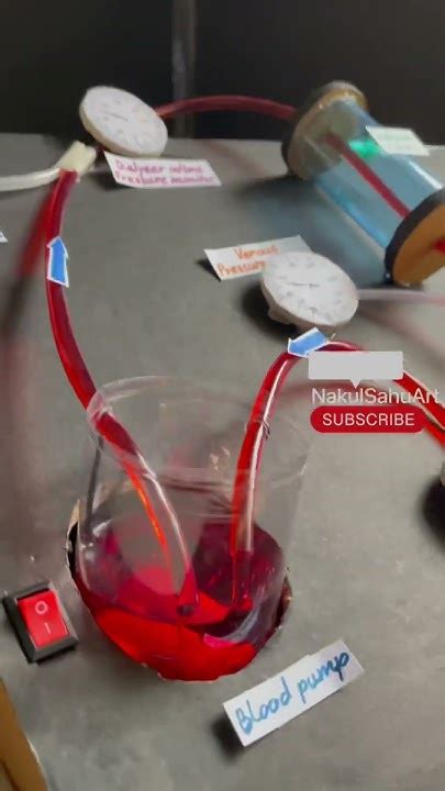 Hemodialysis Working Model Biology Project Science Shorts Youtube