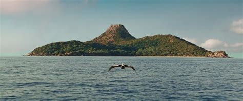 Nims Island 2008