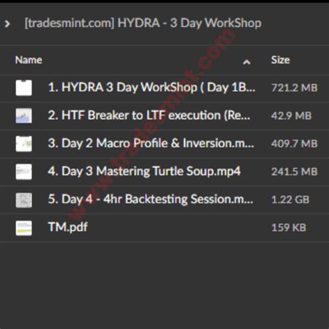 Hydra 3 Day Workshop Trades Mint