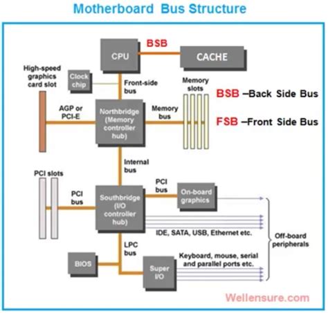 What Is Bus Clock Speed At Irene Rayburn Blog