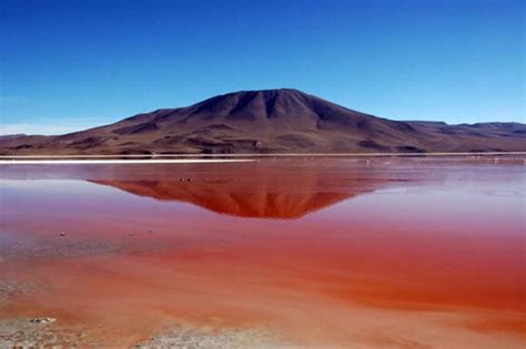 ОЗЕРО ЛАГУНА КОЛОРАДО В БОЛИВИИ Боливия Лагуна Колорадо другое