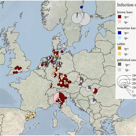 A Map Of Central Europe Showing The Origin Of The Tested Lagomorph