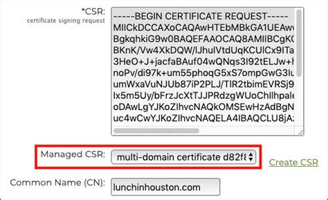 Initial Processing Of A Multi Domain UCC SAN Certificate SSL