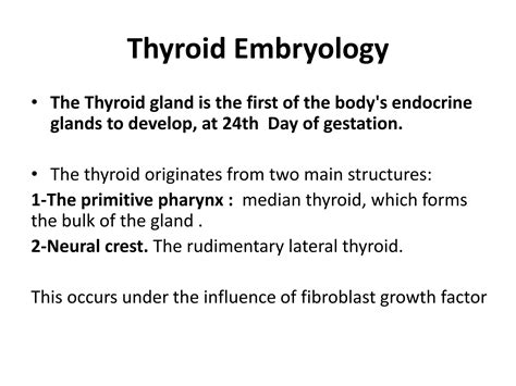 Embryology And Anatomy Of Thyroid Glandpptx