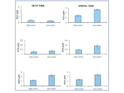 8 Variability Of The Mean Concentration And Standard Deviation Of