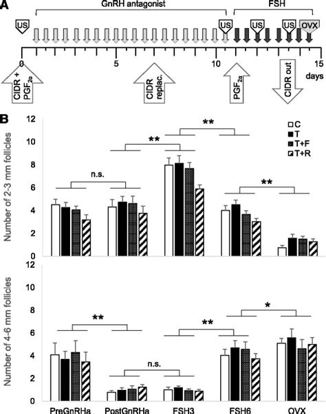 Scheme Depicting Synchronization And Controlled Ovarian Stimulation Download Scientific Diagram