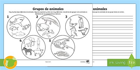 Grupos De Animales Ficha De Actividad Twinkl