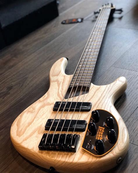 Cort Bass