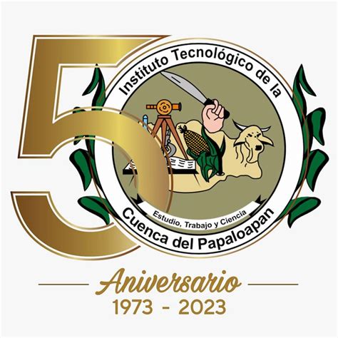 Instituto Tecnológico De La Cuenca Del Papaloapan Universidades