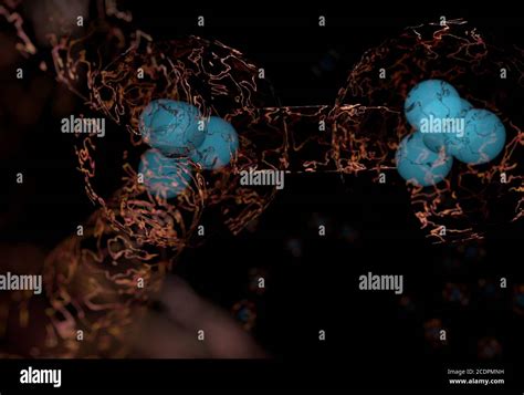 Electron Cloud Molecule