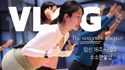 임신 중기 브이로그 16주 20주차 임산부의 소소한 일상 요가강사 임산부요가 정밀초음파 Youtube