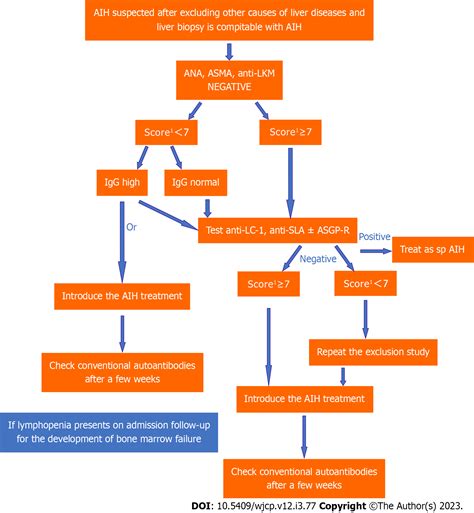 Autoimmune Hepatitis Zero To Finals At Wendy Hopkins Blog