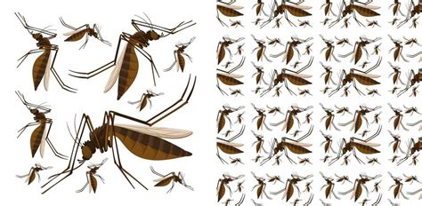 Seamless And Isolated Insect Pattern 685007 Vector Art At Vecteezy