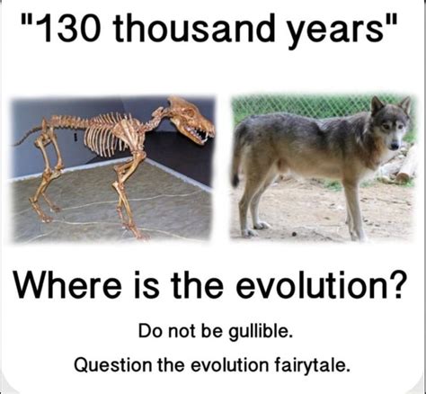 130 thousand years where is the evolution do not be gullible