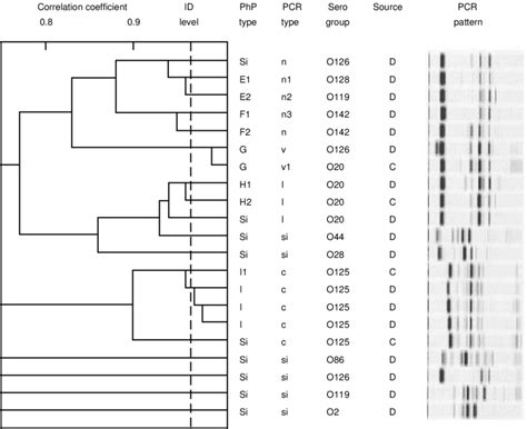 upgma dendrogram derived from clustering of the php types and their