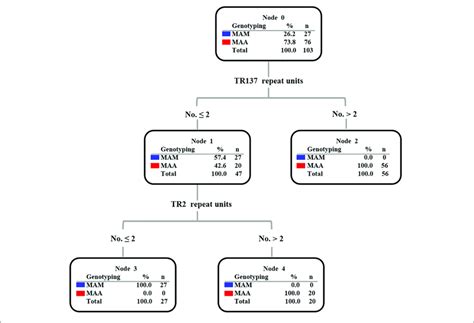 Decision Tree Diagram Based On Tandem Variable Number Tandem Repeat