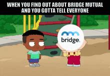 Bridgemutual Bmi  Bridgemutual Bmi Discover And Share S