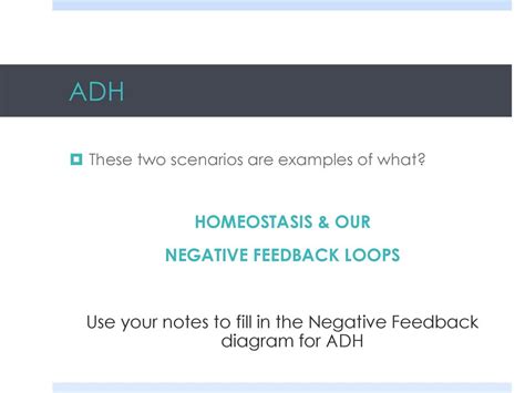 Practice Quiz 2 Multiple Choice Questions D Should Say Bandc D B A C Ppt Download