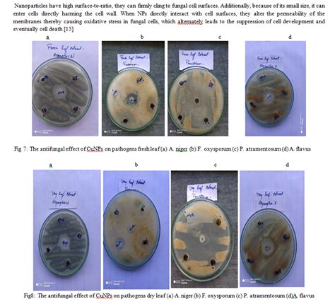 Green Synthesis Of Copper Nanoparticles Using Leaf Extract Of
